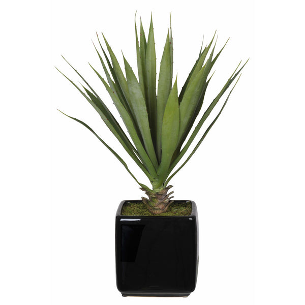 Artificial Baby Yucca in Cube Vase – House of Silk Flowers®