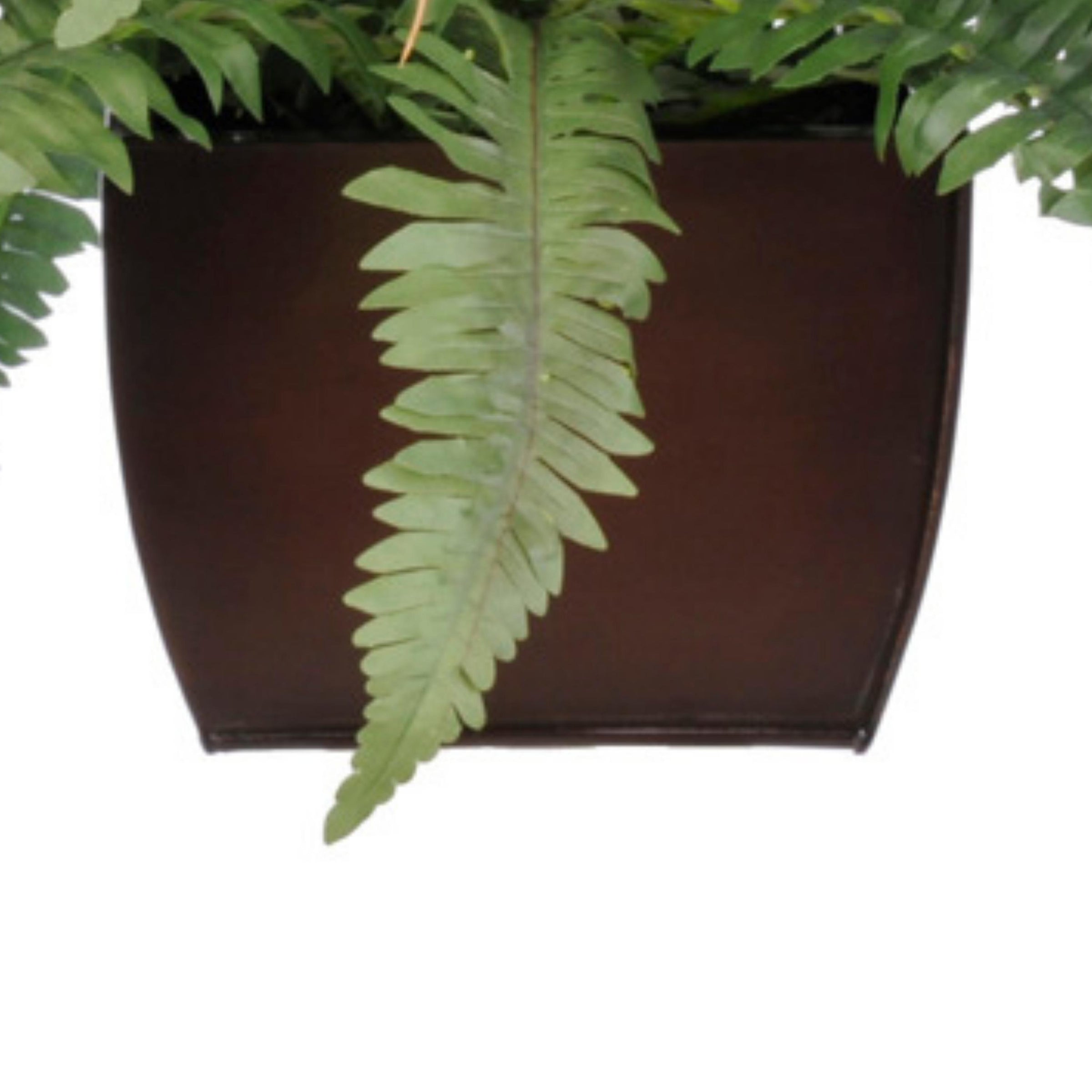 Artificial Fern in Small Zinc – House of Silk Flowers®