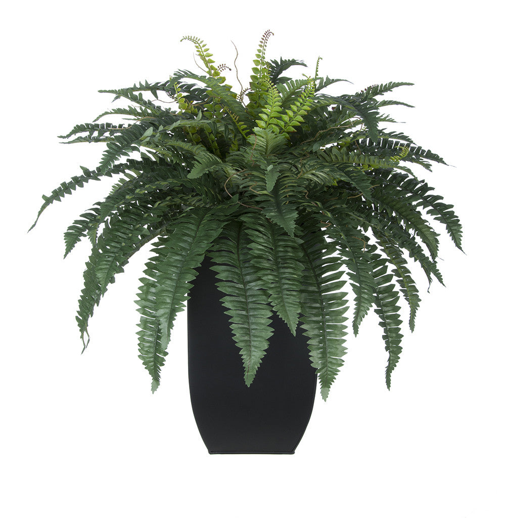 Artificial Fern in Tapered Zinc Planter – House of Silk Flowers®